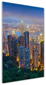 Wallmuralia Vertikální Foto obraz sklo tvrzené Noční Hong kong 50x100