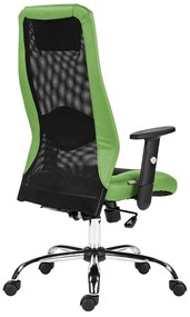 Kancelářská židle Sander Antares Barva: Zelená