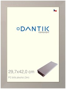 DANTIK rámeček 29,7x42 | FC Bílá plochá (Plexi Čiré)