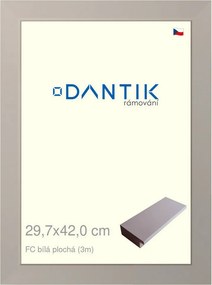 DANTIK rámeček 29,7x42 | FC Bílá plochá (Plexi Čiré)