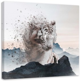 Gario Obraz na plátně Rozpad bílého tygra - Zehem Chong Rozměry: 30 x 30 cm