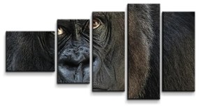 Sablio Obraz - 5-dílný Gorila - 100x60 cm