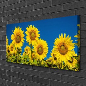 Obraz na plátně Slunečníce Rostlina 120x60 cm