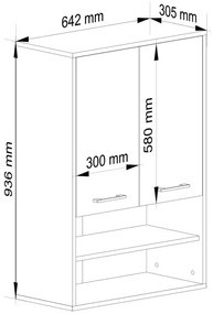 Koupelnová skříňka FIN H934 W64 2D 1P dub artisan / bílá