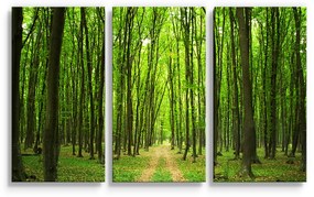 Sablio Obraz - 3-dílný Cesta v lese - 120x80 cm