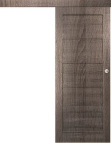 posuvné interiérové dveře na stěnu vasco doors BRAGA plné, model 1 Průchozí rozměr: 70 x 197 cm, Orientace dveří: Levé dveře, Dekor: Dub stříbrný