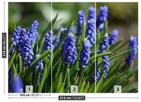 Fototapeta Modré hyacinty 104x70
