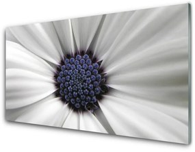 Obraz na skle Květiny Rostlina 125x50 cm