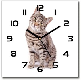 Wallmuralia Skleněné nástěnné hodiny čtverec Kočka 30x30 cm