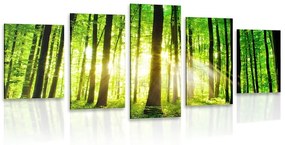 5-dílný obraz svěží zelený les - 200x100 cm