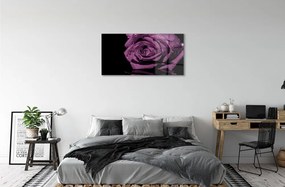 Obraz na skle Purpurová růže 120x60 cm