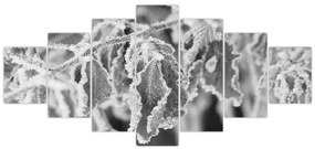 Obraz - Zmrzlé listy, černobílá (210x100 cm)