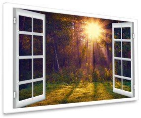 3D obraz ráno v okně Velikost (šířka x výška): 120x90 cm