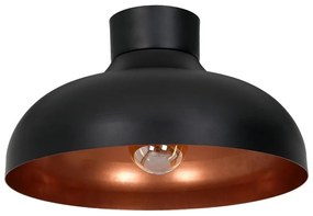 Luminex Přisazený lustr BASCA 1xE27/60W/230V LU1734