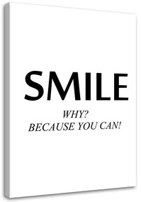 Gario Obraz na plátně Motivační úsměv Rozměry: 40 x 60 cm