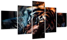 Obraz ležícího tygra (125x70 cm)