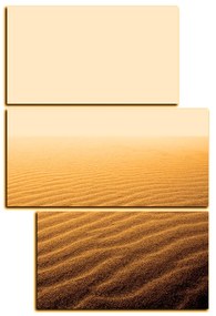 Obraz na plátně - Písek v poušti - obdélník 7127FD (105x70 cm)