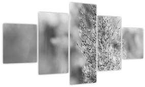 Obraz - Boho pampas grass (125x70 cm)