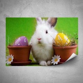Plakát - Bílý králíček (60x40 cm) - PopyDesign