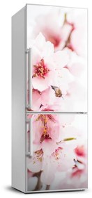 Wallmuralia Nálepka fototapeta Květy mandloně 60x180 cm
