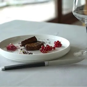 Pinti Inox Steakový nůž AUDREY / Sada 6 ks / vroubkovaná čepel 20 cm /