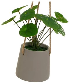 Umělá rostlina (výška 24 cm) Pilea – Casa Selección