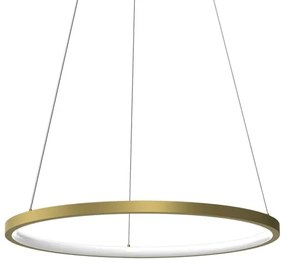 LED Lustr na lanku HOOP LED/27W/230V pr. 50 cm 4000K zlatá