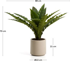 Umělý sukulent (výška 70 cm) Neottopteris – Kave Home