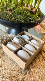 Sada 6 závěsných velikonočních vajíček s peřím - různé varianty