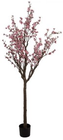 Dekorace umělý strom třešeň s růžovými květy Cherry Blossom - 45*45*185 cm