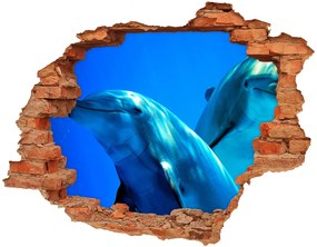 Wallmuralia Díra 3D fototapeta nástěnná Dva delfíni 90x70 cm