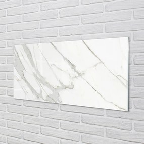 Skleněný panel Marble kámen skvrny 100x50 cm