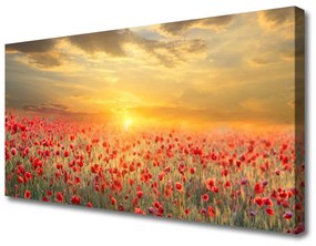 Obraz na plátně Slunce Louka Mák Květiny 140x70 cm