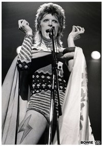 Plakát, Obraz - David Bowie - Ziggy Stardust 1973, (59.4 x 84.1 cm)