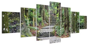 Obraz kamenných schodů v lese (210x100 cm)