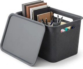 Rotho Úložný box s víkem a s madly BRISEN 16l, 36x26,2x21cm, černý