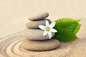 Samolepící fototapeta bílý květ a kameny v písku