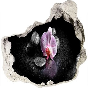 Wallmuralia Samolepící díra na stěnu nálepka Orchidej 75x75 cm