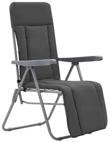 Skládací zahradní židle s poduškami 2 ks šedé - Default Title