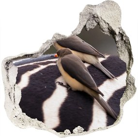 Wallmuralia Díra 3D fototapeta nálepka Ptáci a zebra 75x75 cm