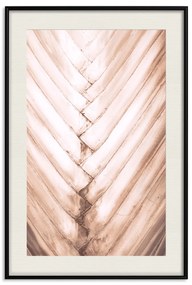 Plakát Struktura palmy - tropická textura světlých dřevěných prken