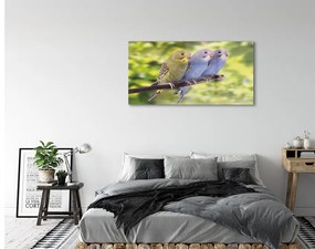 akrylový obraz Barevné papoušek na větvi 125x50 cm