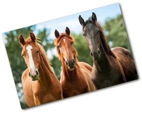 Wallmuralia Kuchyňská deska skleněná Tři koně 80x52 cm