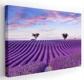 YESTU Obraz na plátně 120x80cm,3D efekt, levandulové pole,fialová