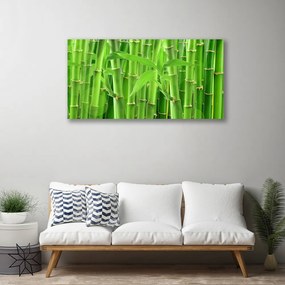 Obraz na plátně Bambus Stonek Květ Rostlina 100x50 cm