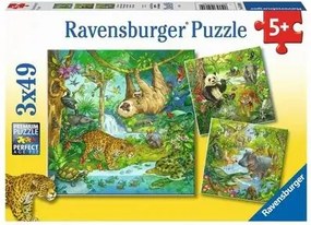 Ravensburger Zvířata v džungli / 3x49 dílků / od 5 let