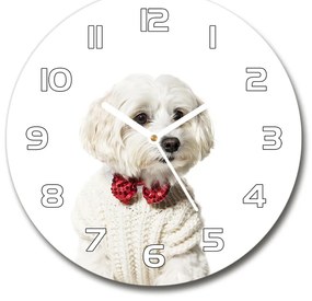 Wallmuralia Skleněné hodiny kulaté Maltázský psík fi 30 cm