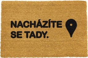 Rohožka z přírodního kokosového vlákna Artsy Doormats Tady, 40 x 60 cm
