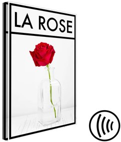 Obraz Růže - intenzivně červený květ růže ve váze na světle šedém pozadí s černým rámem a nápisem ve francouzštině, ideální do pokoje nebo jídelny.