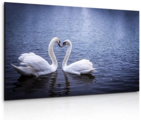 Malvis ® Obraz na plátně Láska labutí Velikost: 120x80 cm